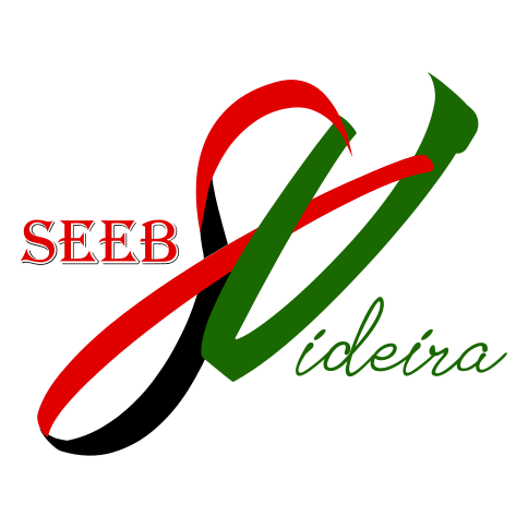 SEEB Videira SC